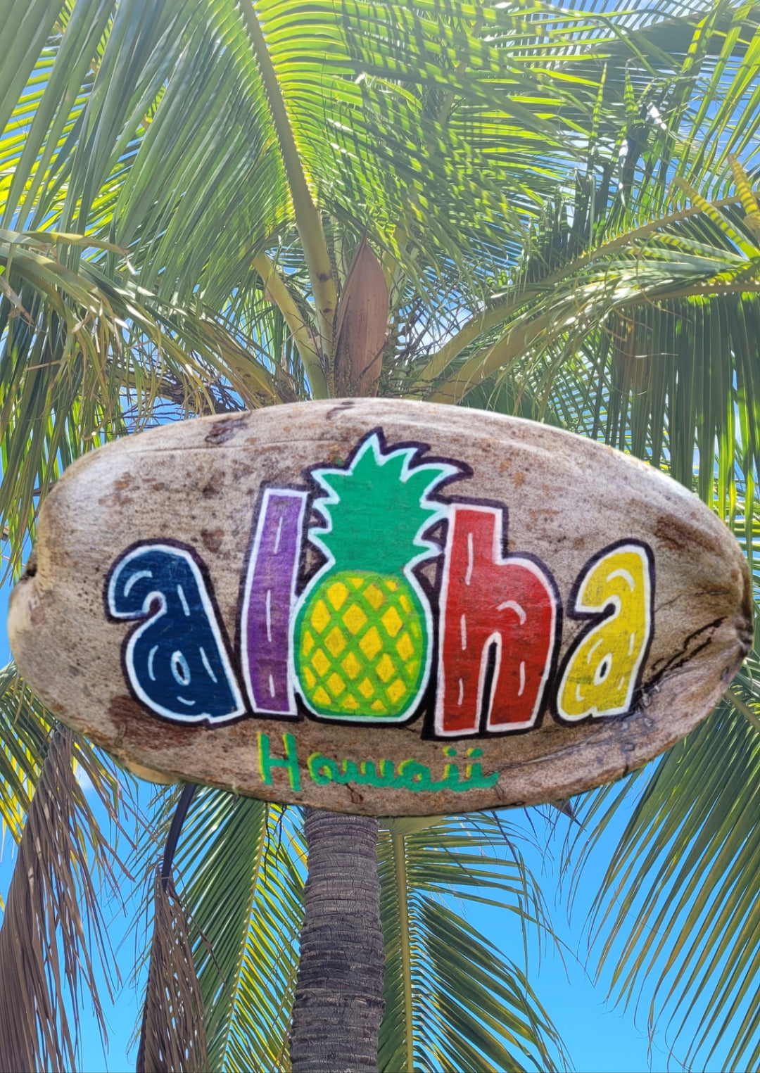 Aloha Pineapple – Coconut Postcards Kona