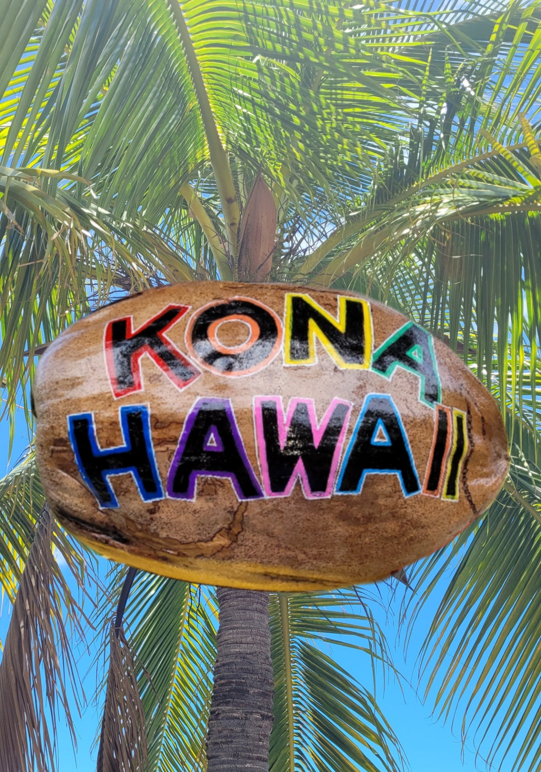 Kona Hawaii – Coconut Postcards Kona