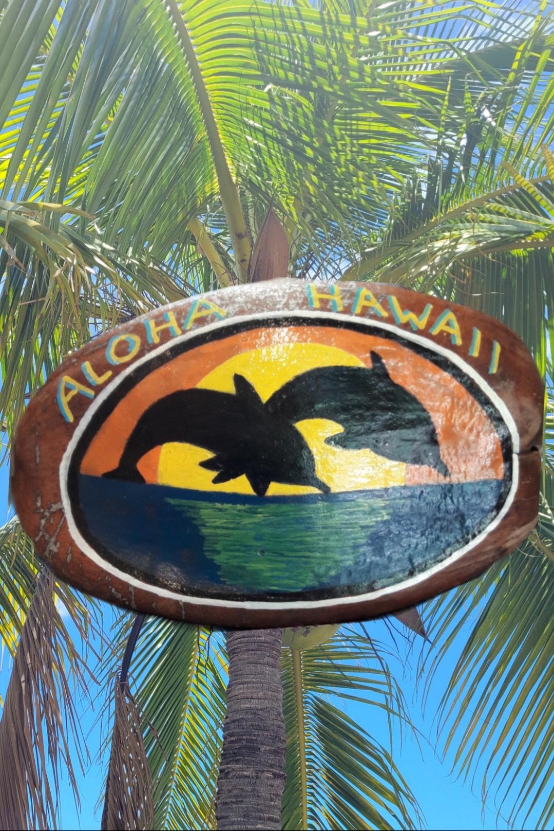 Sunset Dolphins – Coconut Postcards Kona